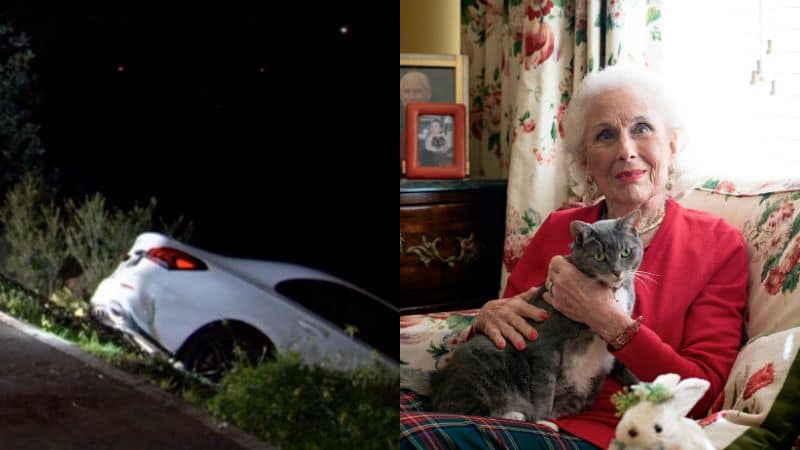 Lady Primrose Potter Rescued After Car Plunged Into Yarra River