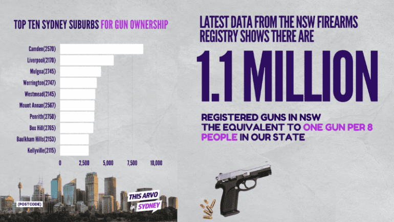 Suburbs With Highest Gun Ownership Revealed In NSW