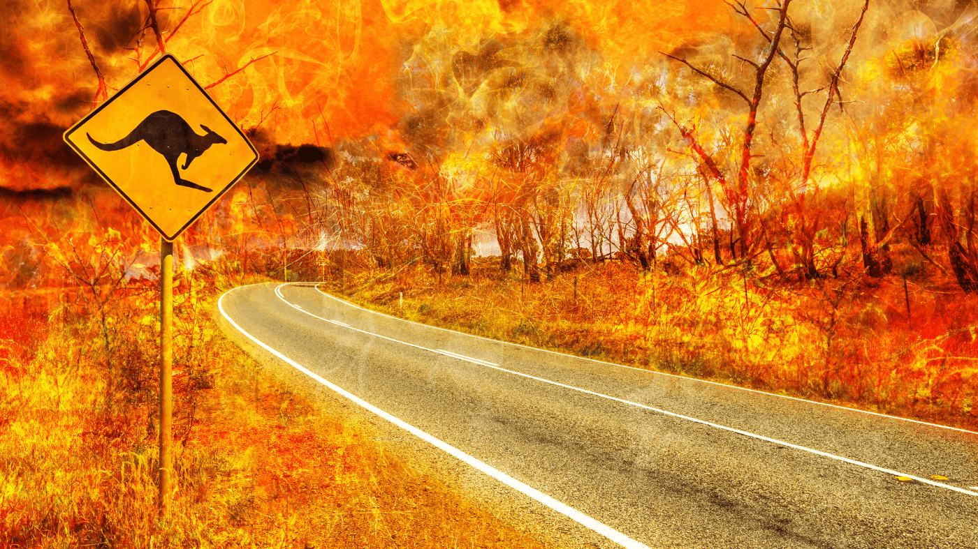 Are You Living In An Area Identified With Increased Bushfire Risk This ...