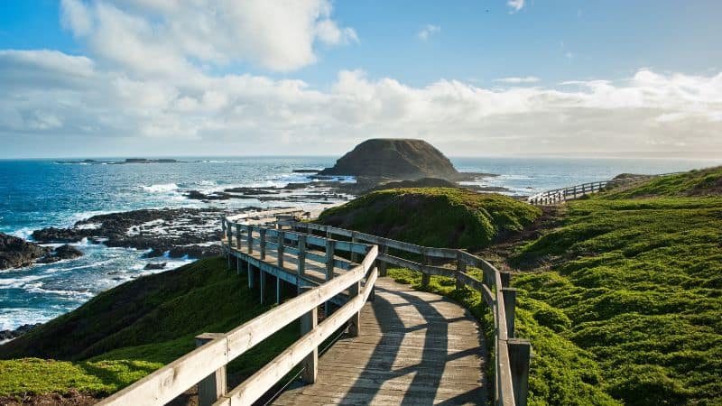 Woman Rescued After Cliff Fall While Taking Photos In Phillip Island