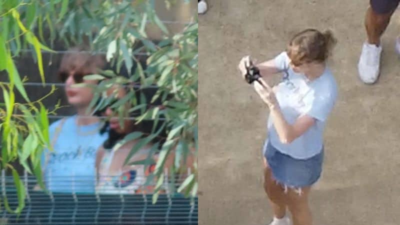 Taylor Swift Wild Encounter: Pop Icon Explores Native Wildlife At ...