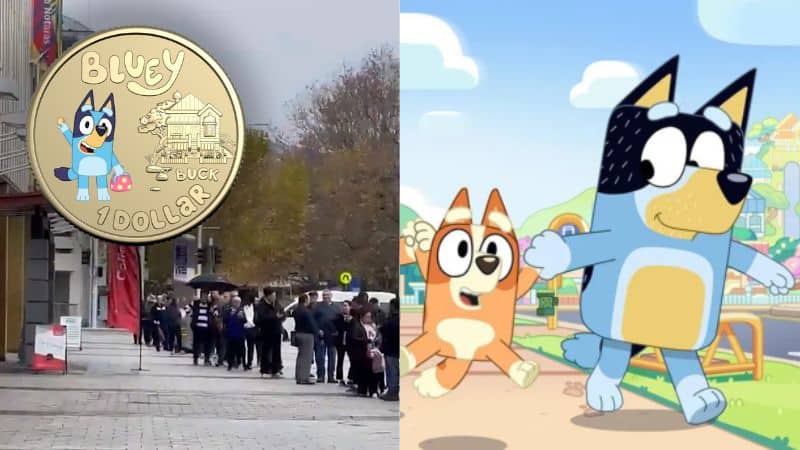 Bluey Coins Fetching $900: Would You Pay The Price?