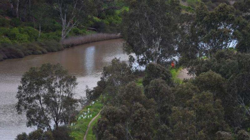 Woman Charged With Murder After Body Found In Maribyrnong River