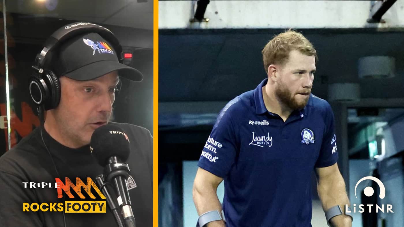 Dave Riccio With An Update On Burton & The Dogs Plans