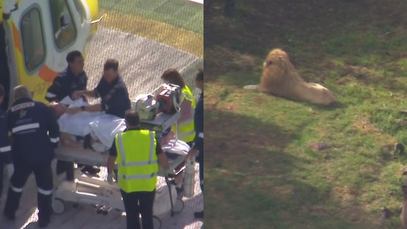 Woman loses arm in lion attack at Queensland Zoo
